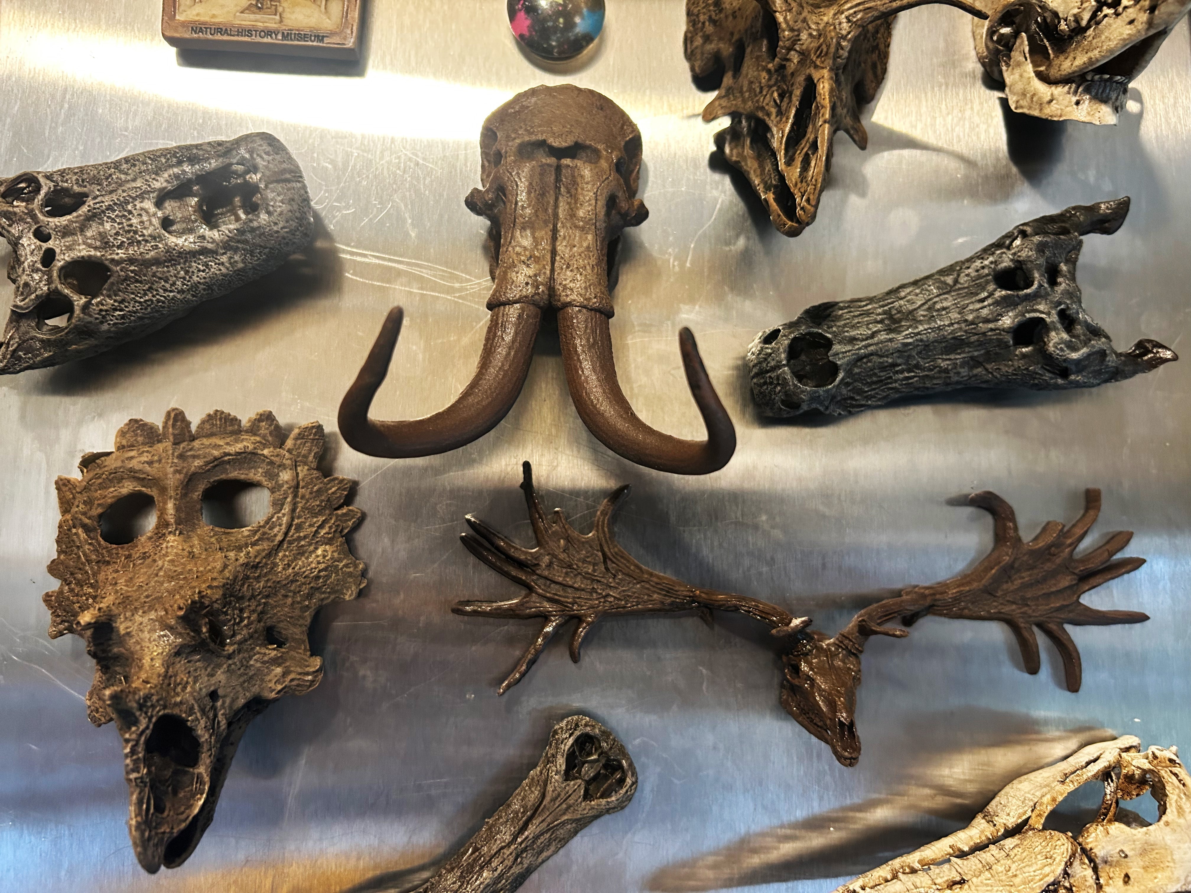 3D Fridge Magnets – Scaled Beast