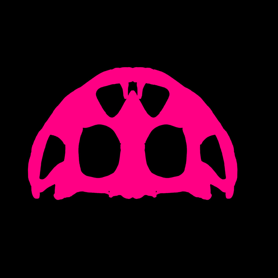 Amphibians – Scaled Beast