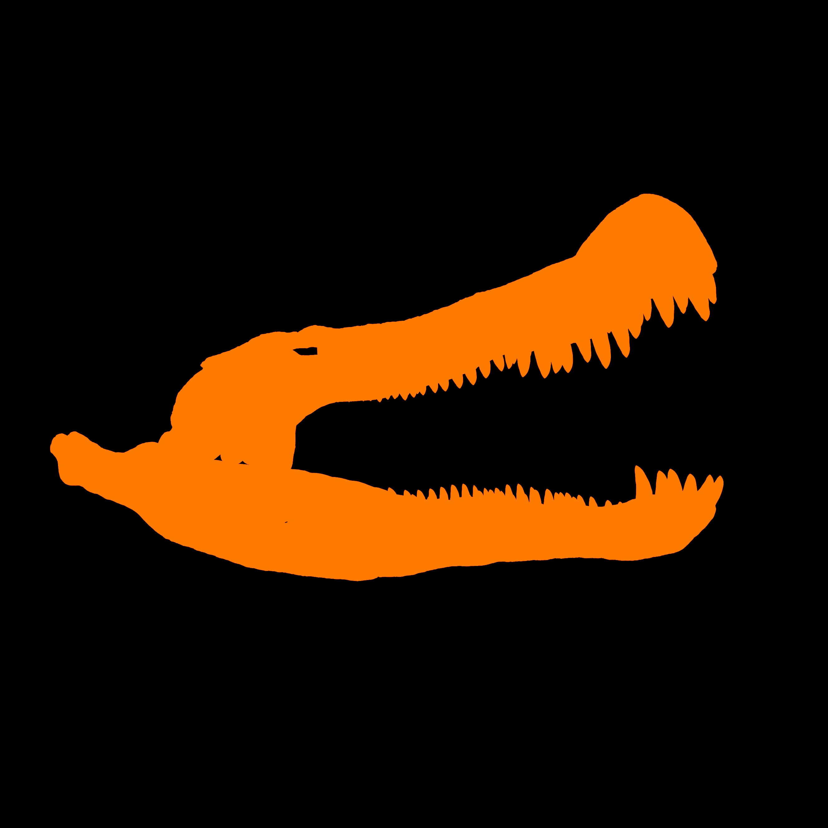 Crocodylomorphs – Scaled Beast