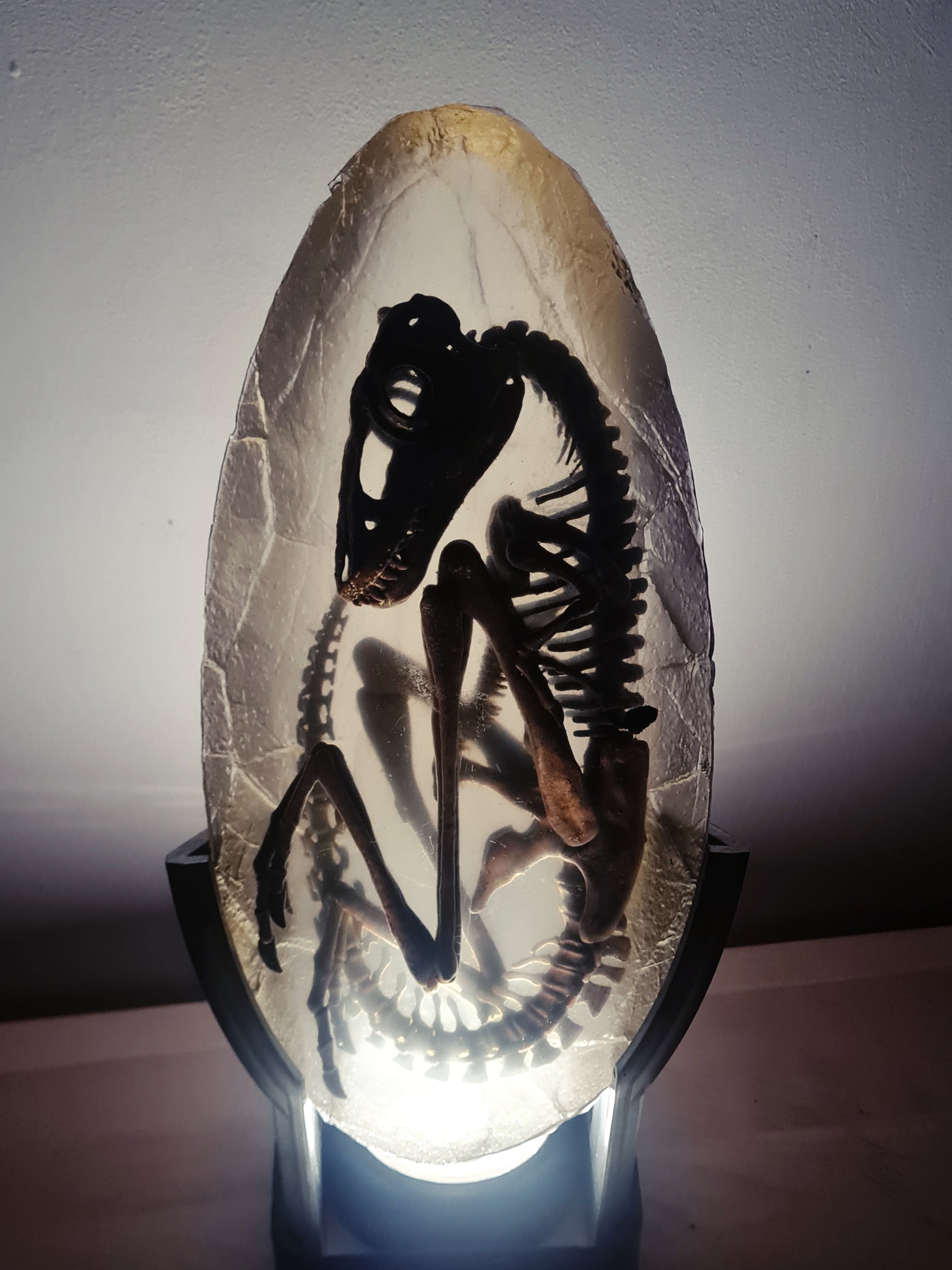 Embryonic Tyrannosaur – Scaled Beast