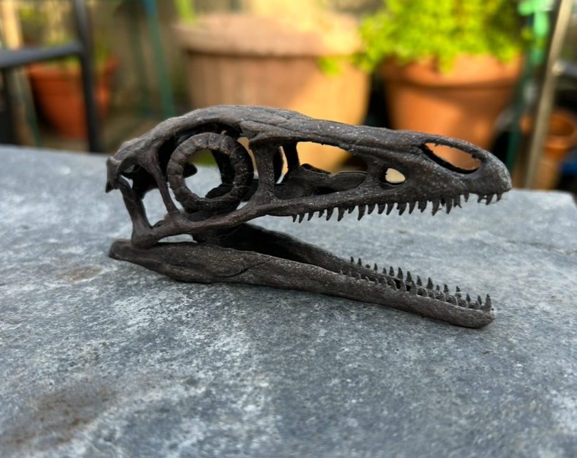 Compsognathus longipes (BB) – Scaled Beast